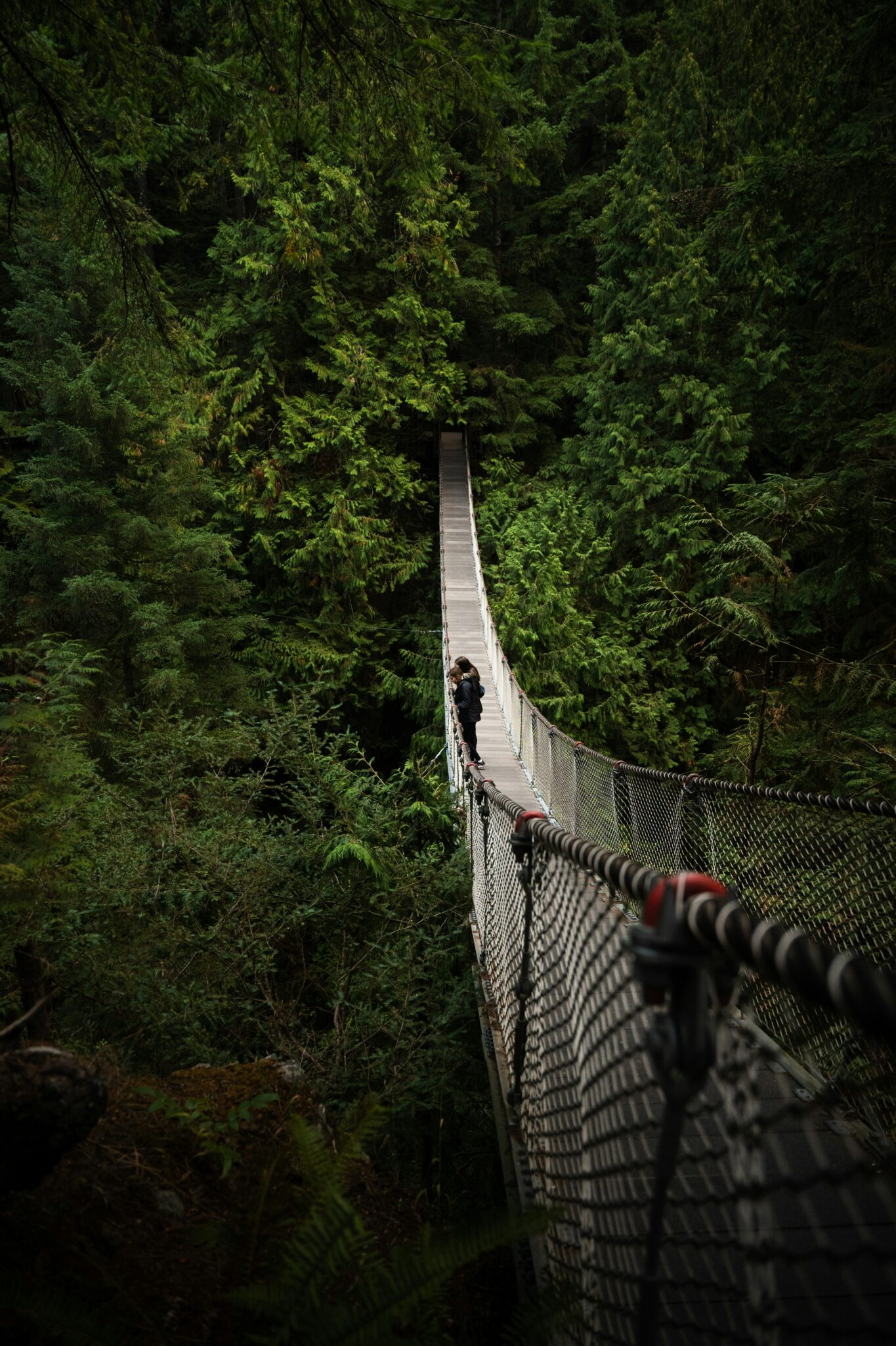 4 Excursiones en Vancouver que no te puedes perder